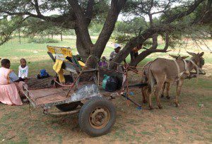 Donkey Cart Africa’s Basic Taxi | Wildmoz | Magazine